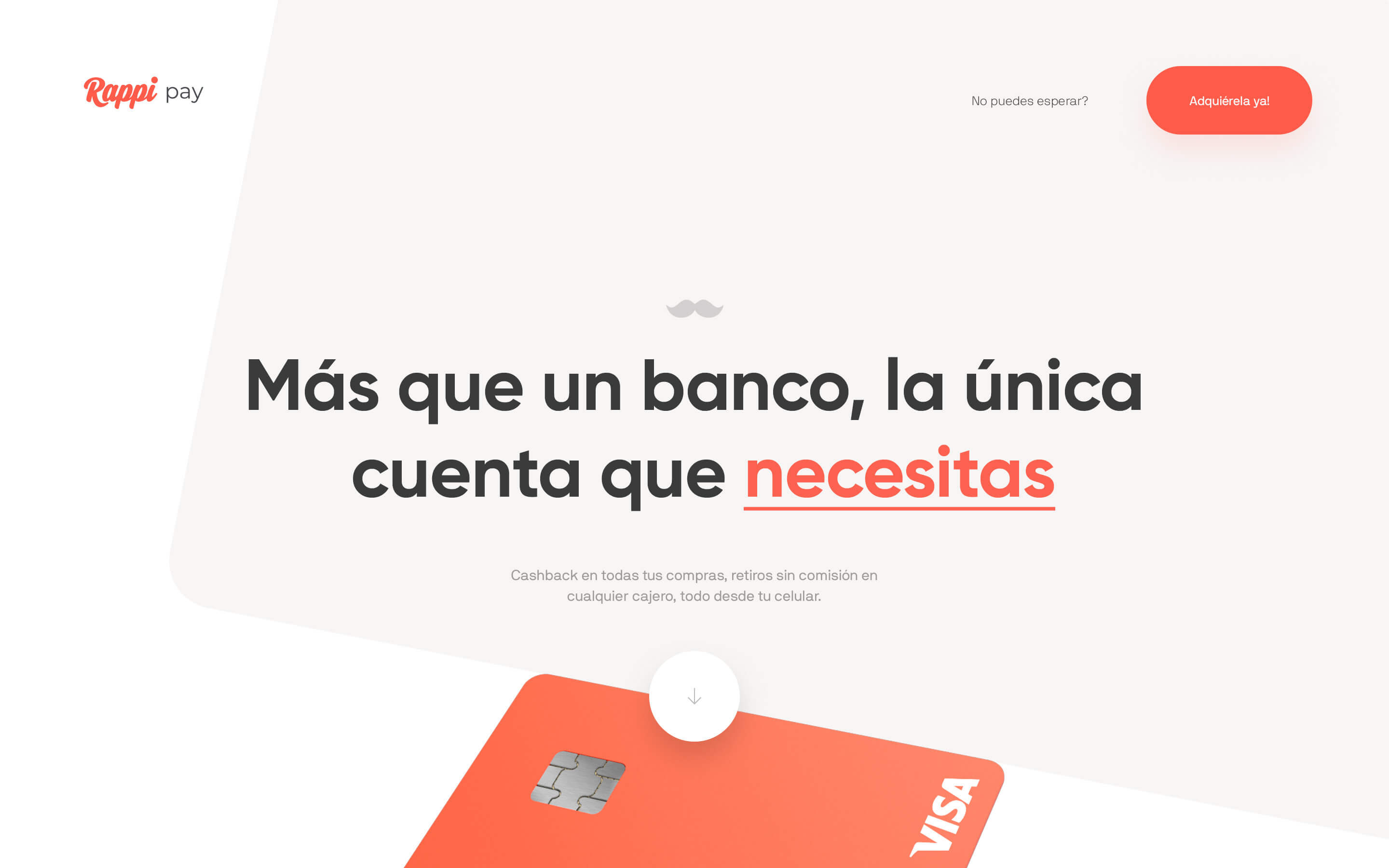 Oui Will | Digital. Brand. Accelerator.™